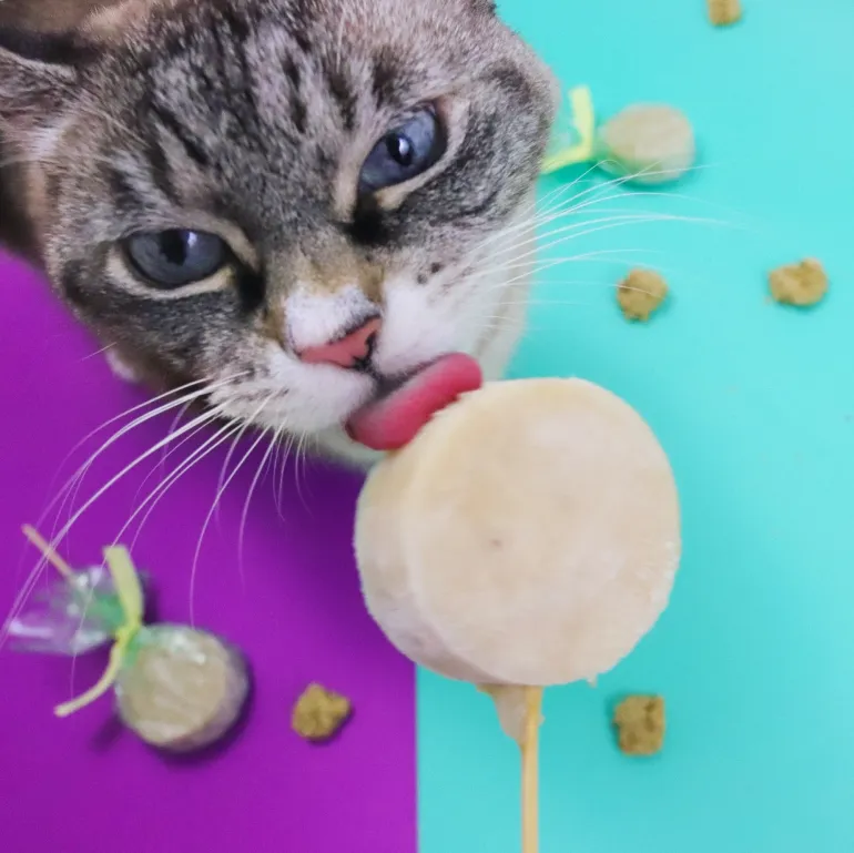 RANOVA Cat Treats - Freeze Dried Lollipop (Mixed Flavor) 1.4g x 15 ...