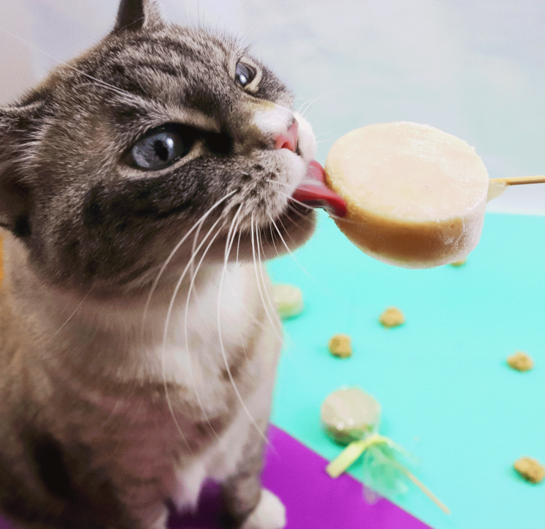 RANOVA Cat Treats - Freeze Dried Lollipop (Mixed Flavor) 1.4g x 15 ...