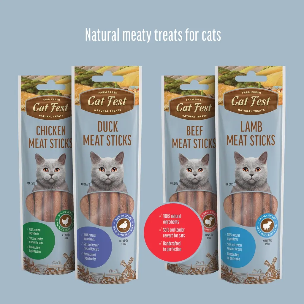 Meat sticks chicken for cat (45g) - PETCO KWT
