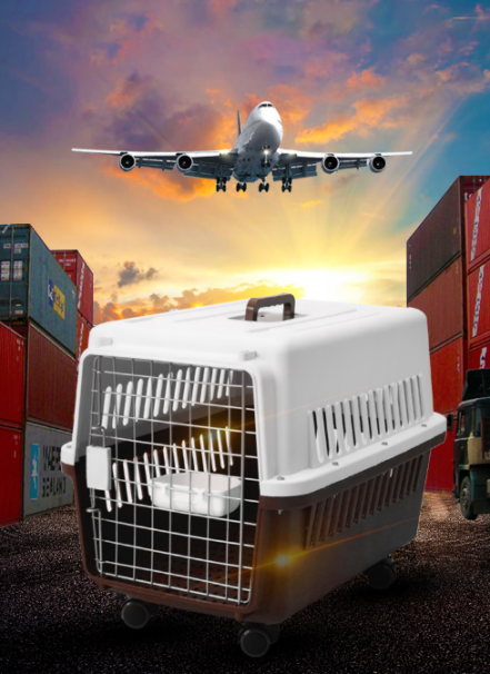 Petco IATA Approved Pet Carrier XL Size - PETCO KWT