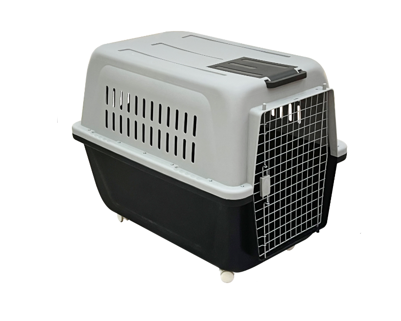 Petco IATA Approved Pet Carrier XXXL Size - PETCO KWT