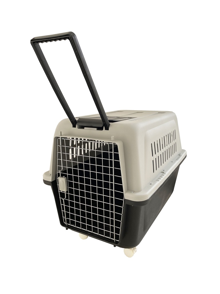 Petco IATA Approved Pet Carrier XXXL Size - PETCO KWT